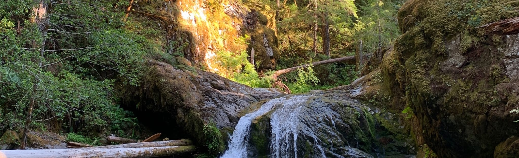 Blue Hole Falls and Evergreen Falls, Oregon - 12 Reviews, Map | AllTrails