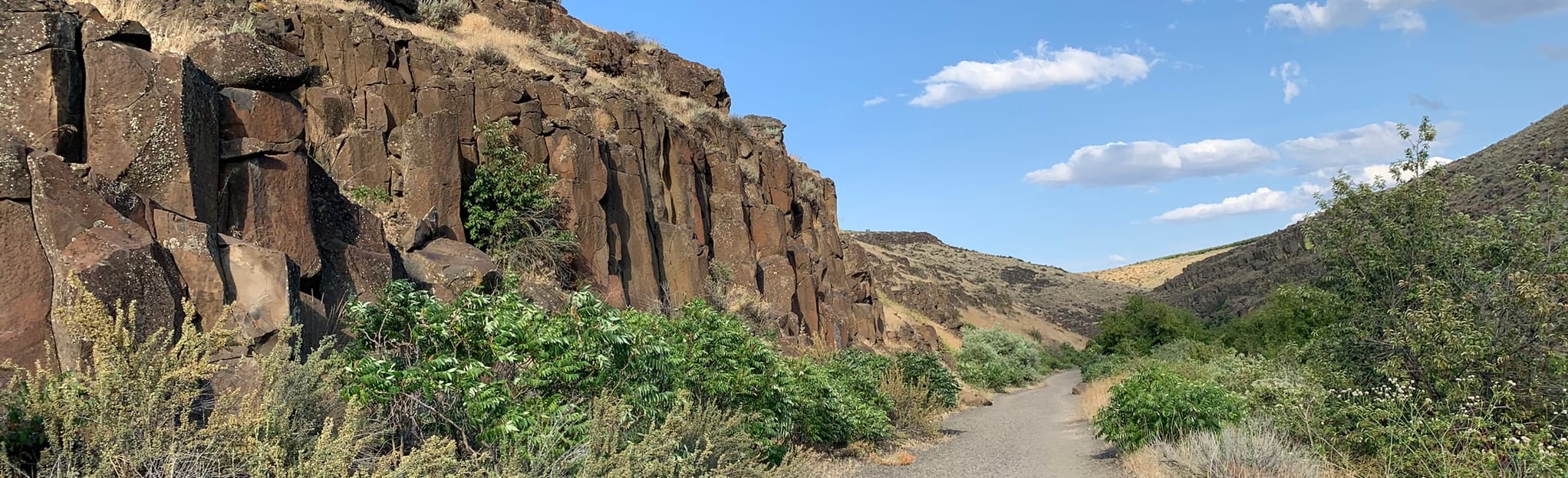 Lonepine and Cowiche Canyon Trail: 76 Reviews, Map - Washington | AllTrails