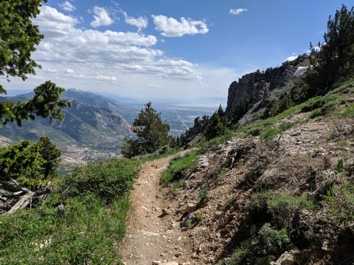 2023 Best Easy Trails in Eden | AllTrails