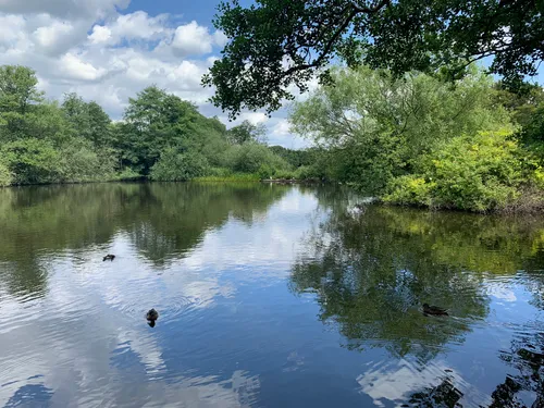 Best Hikes and Trails in Allestree Park | AllTrails