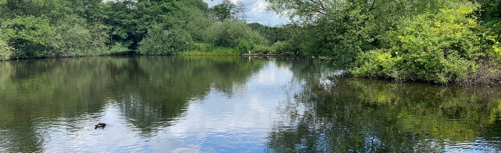 Allestree Park Circular: 36 Reviews, Map - Derbyshire, England | AllTrails