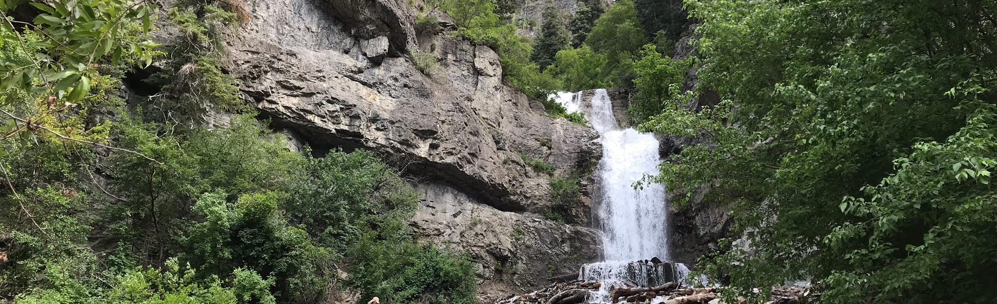 Upper Falls, Utah - 577 Reviews, Map | AllTrails