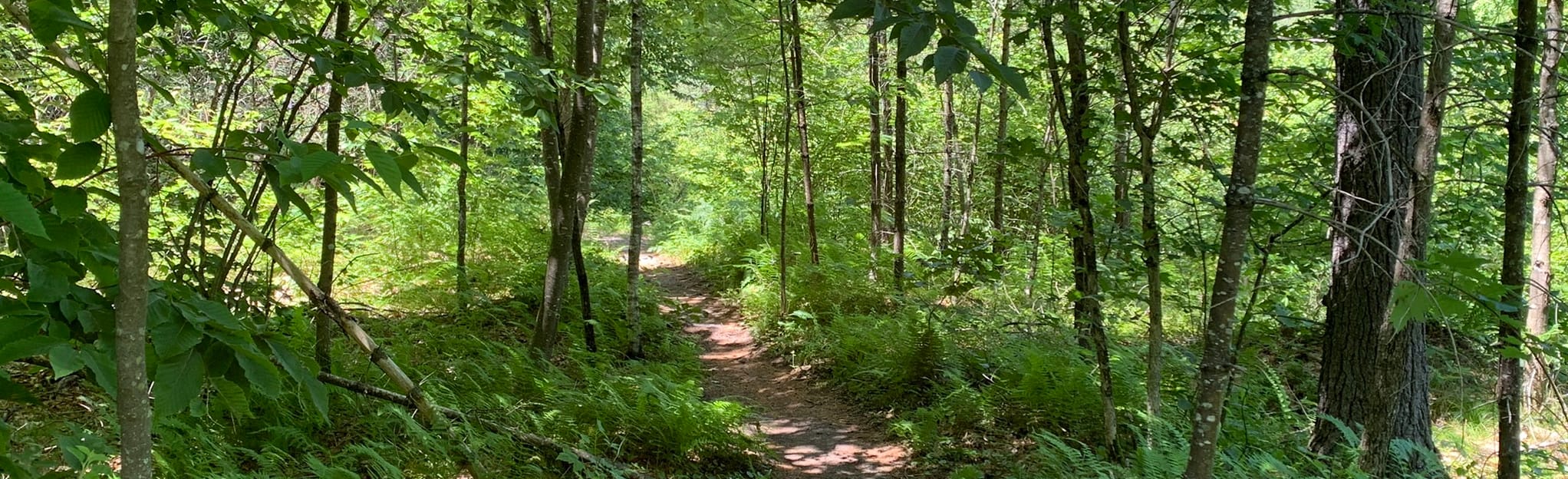 One Mile, Bear Brook, Alp D'Huez, Cascade, and Bear Brook Lower Trails ...