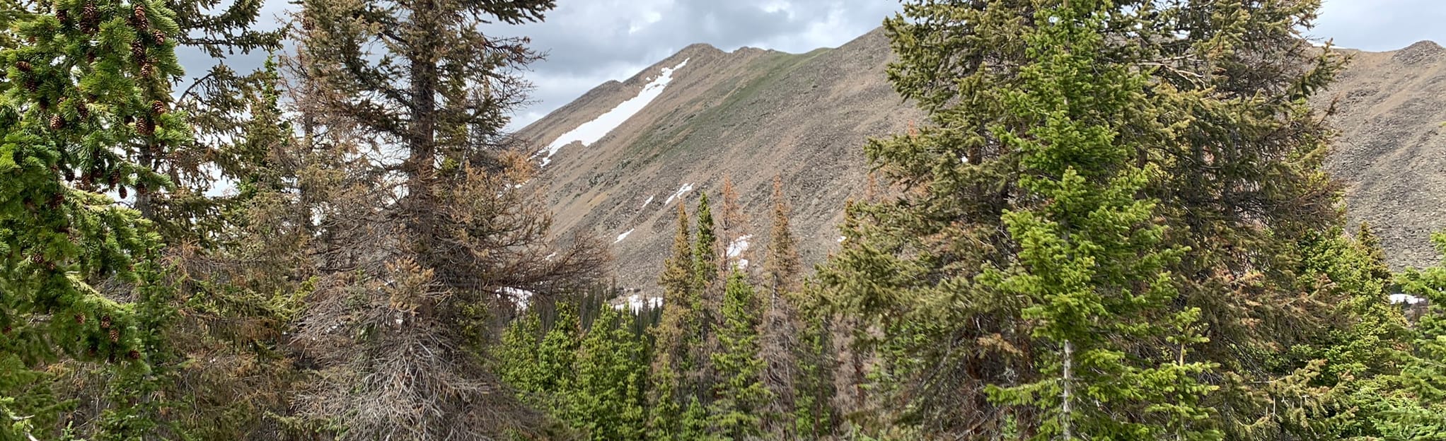 AllTrails | Upper Pomeroy Lake and Pomeroy Lake Loop: 12 Reviews, Map ...