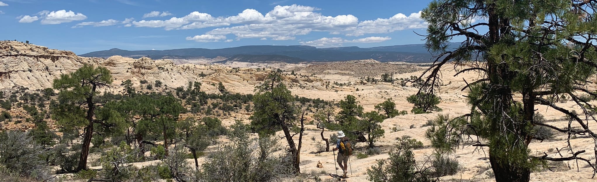 Boulder Mail Trail, Utah - 115 Reviews, Map | AllTrails