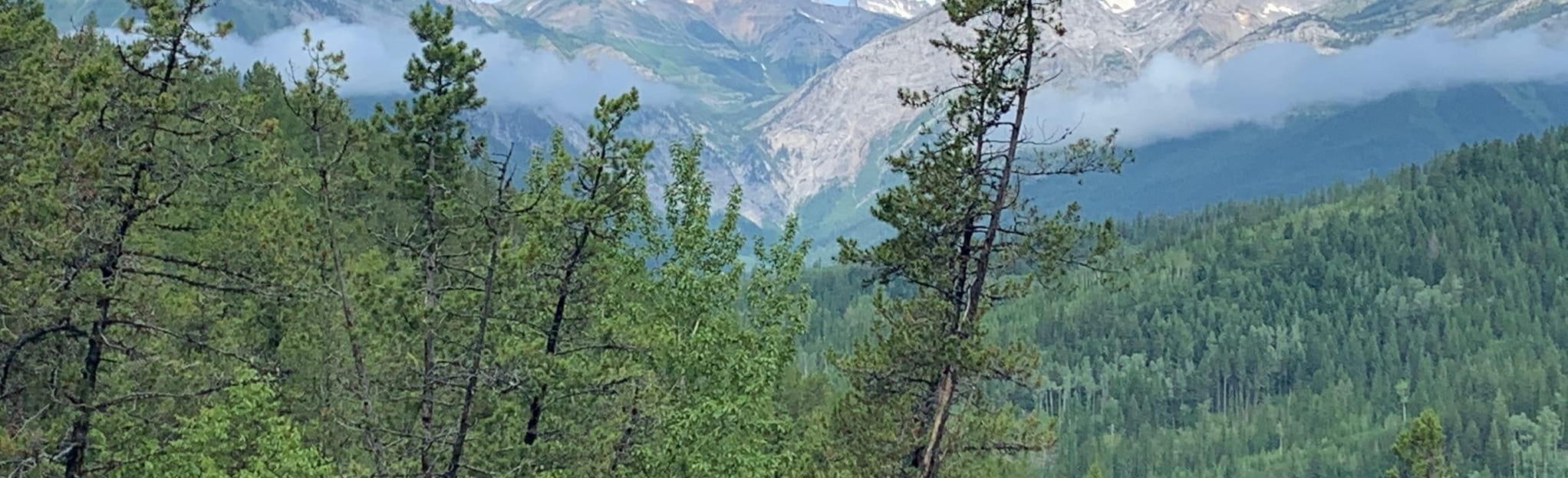 Ammonite Fossil: Direct Trail: 23 Reviews, Map - British Columbia, Canada | AllTrails