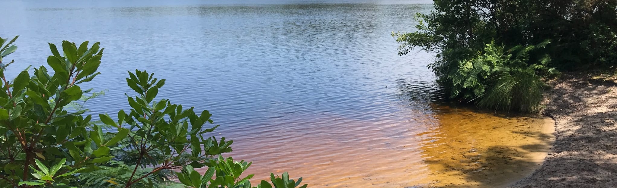 Moliets-et-Mâa - Moliets-Plage - Pond of Prade: 31 Reviews, Map ...