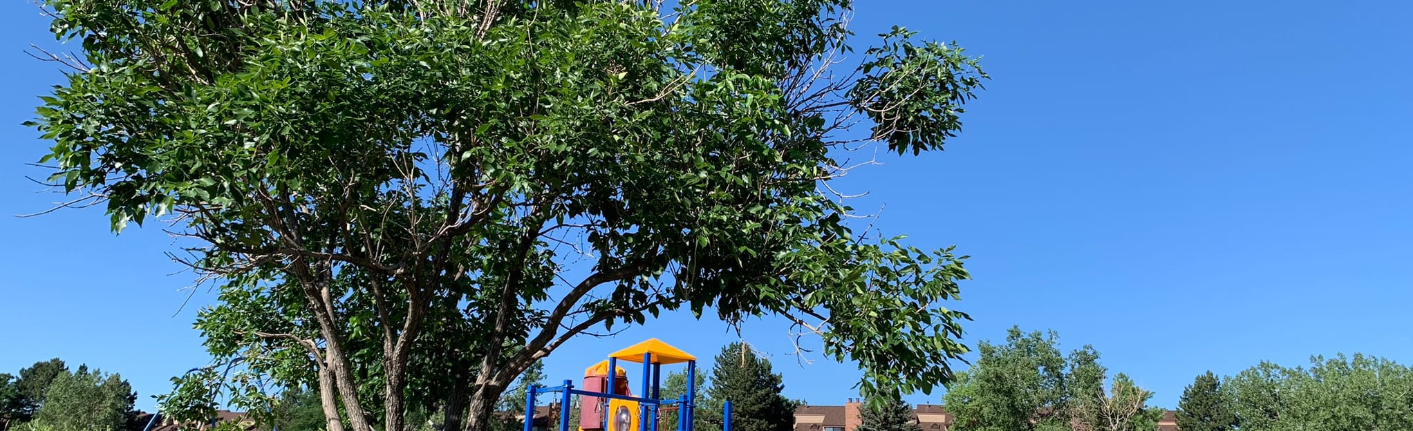 Wright Park: 16 Reviews, Map - Colorado | AllTrails