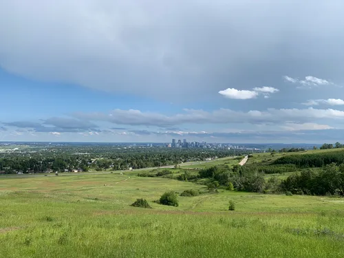 10 Best Walking Trails in Calgary | AllTrails