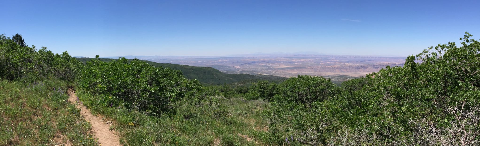 Tukuhnikivatz Spring Trail, Utah - 32 Reviews, Map | AllTrails