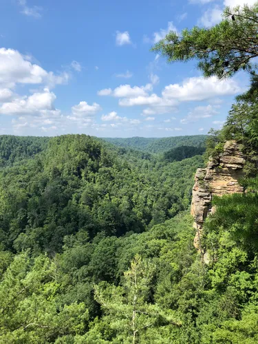 10 Best Hikes and Trails in Clifty Wilderness | AllTrails