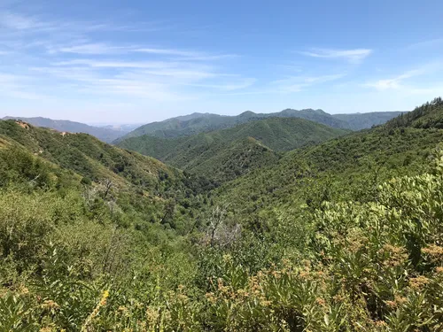 10 Best Hikes and Trails in Ventana Wilderness | AllTrails