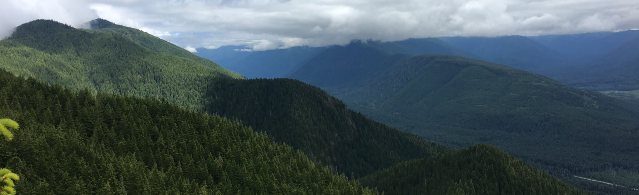 Mount Muller Trail, Washington - 144 Reviews, Map | AllTrails