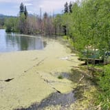 Box Lake Trail, Utah - 28 Reviews, Map | AllTrails