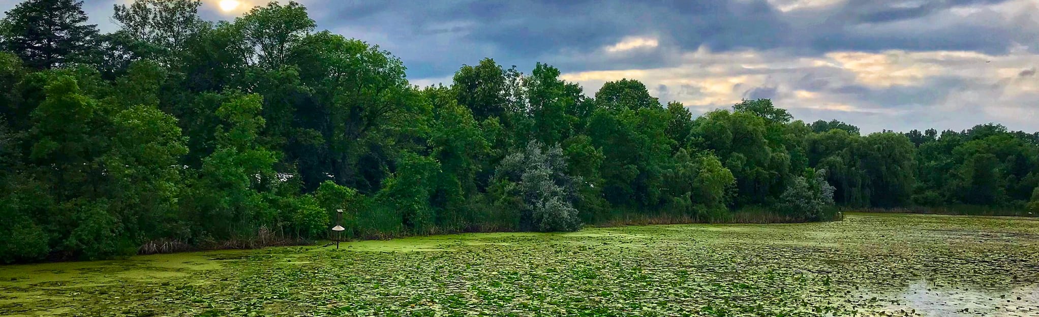 Clifton E. French Outer Loop: 296 Reviews, Map - Minnesota | AllTrails