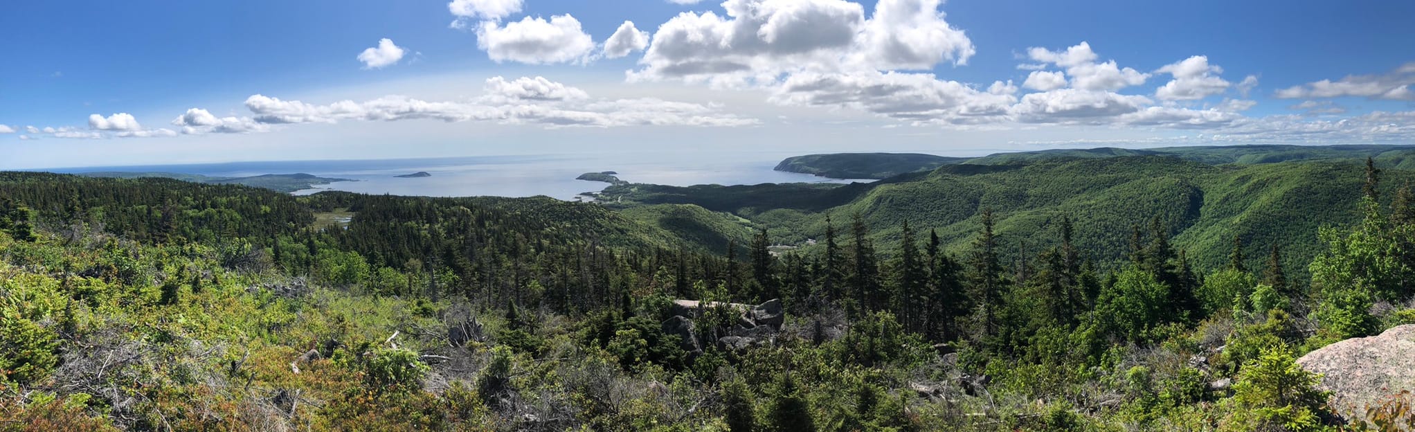AllTrails | Franey Trail: 1036 Reviews, Map - Nova Scotia, Canada