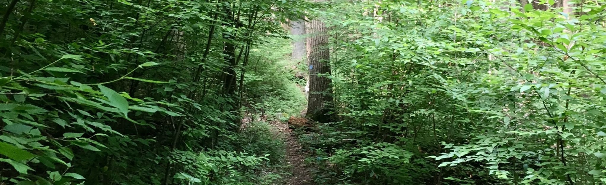 Beardsley Preserve Blue Loop, Connecticut - 128 Reviews, Map | AllTrails