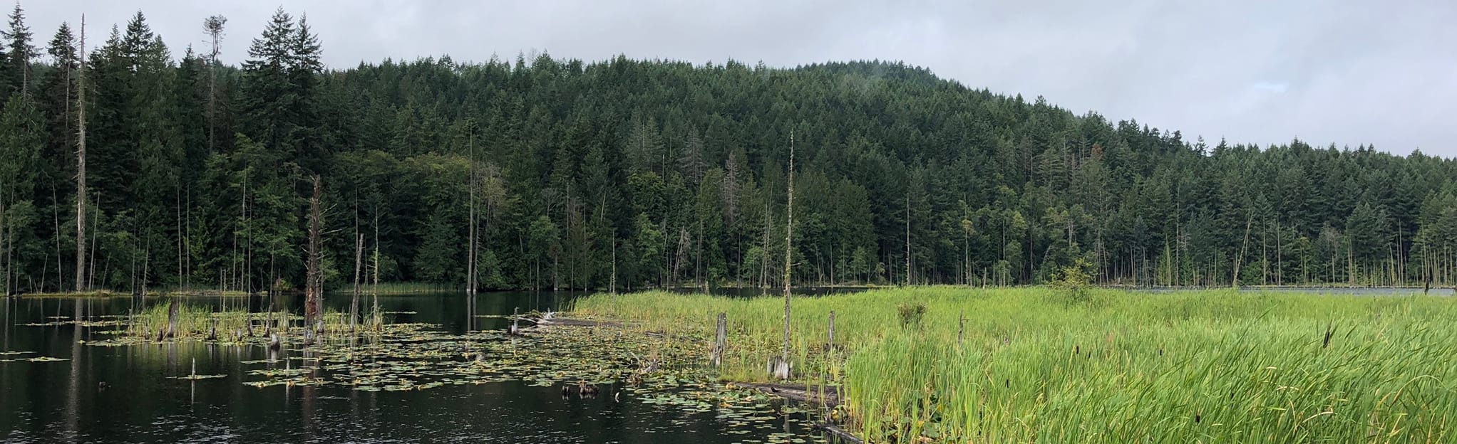 Crofton Lake Trail, British Columbia, Canada - 392 Reviews, Map | AllTrails Crofton Lake Trail, British Columbia, Canada - 392 Reviews, Map | AllTrails