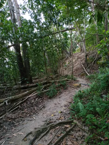 2023 Best 10 Walking Trails in Batu Pahat | AllTrails