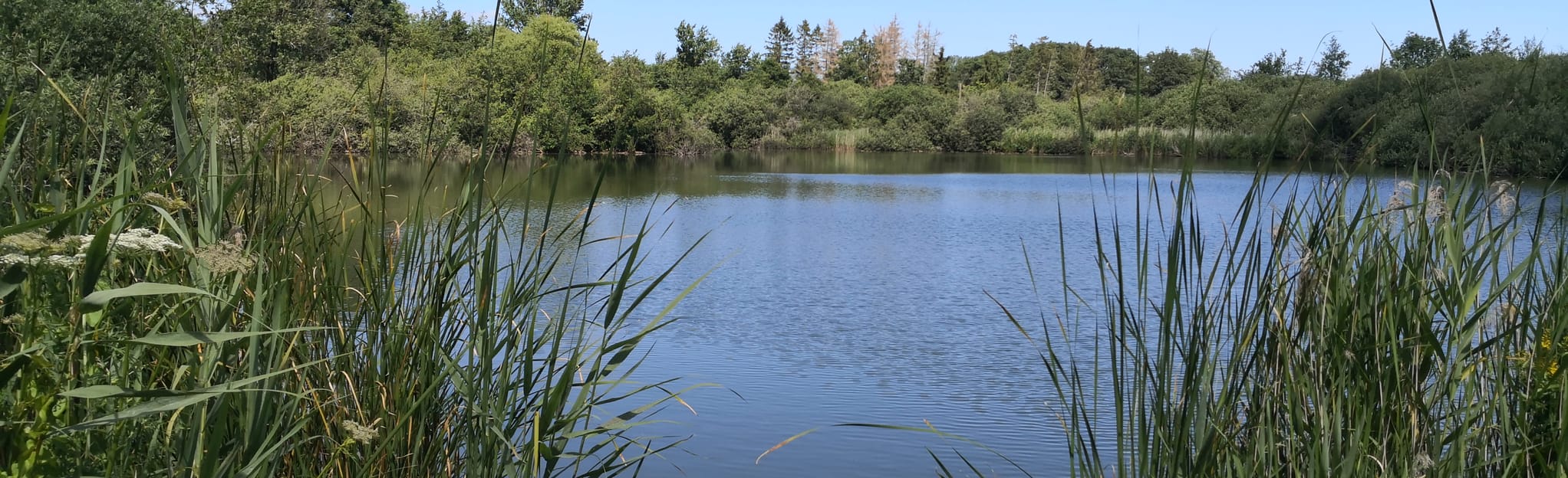 Ejby and Kingstrup Mose: 18 Reviews, Map - Region of Southern Denmark, Denmark | AllTrails