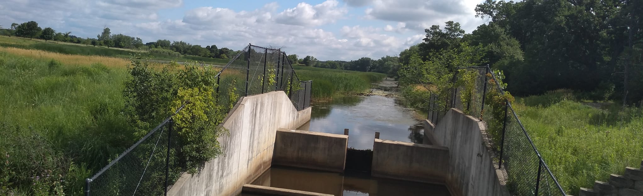 Old Stover to Paul Douglas Loop: 132 Reviews, Map - Illinois | AllTrails