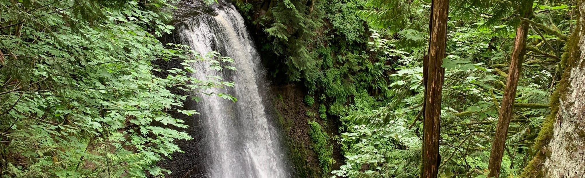 Victor Falls Trail [CLOSED]: 83 Reviews, Map - Washington | AllTrails