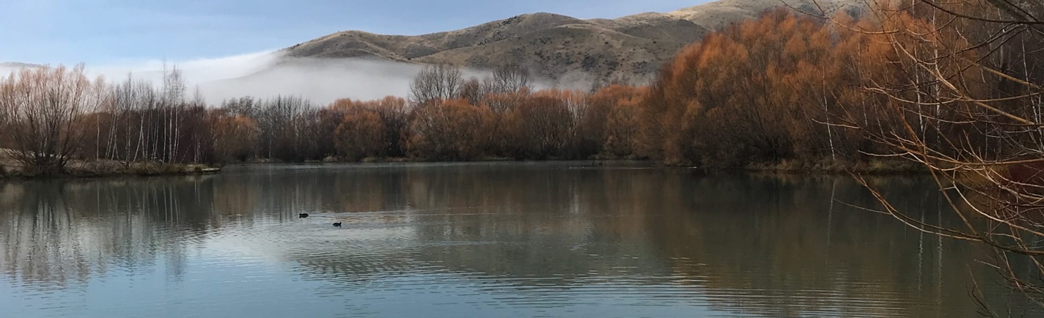 Wairepo Arm Walk, Canterbury, New Zealand - Map, Guide | AllTrails