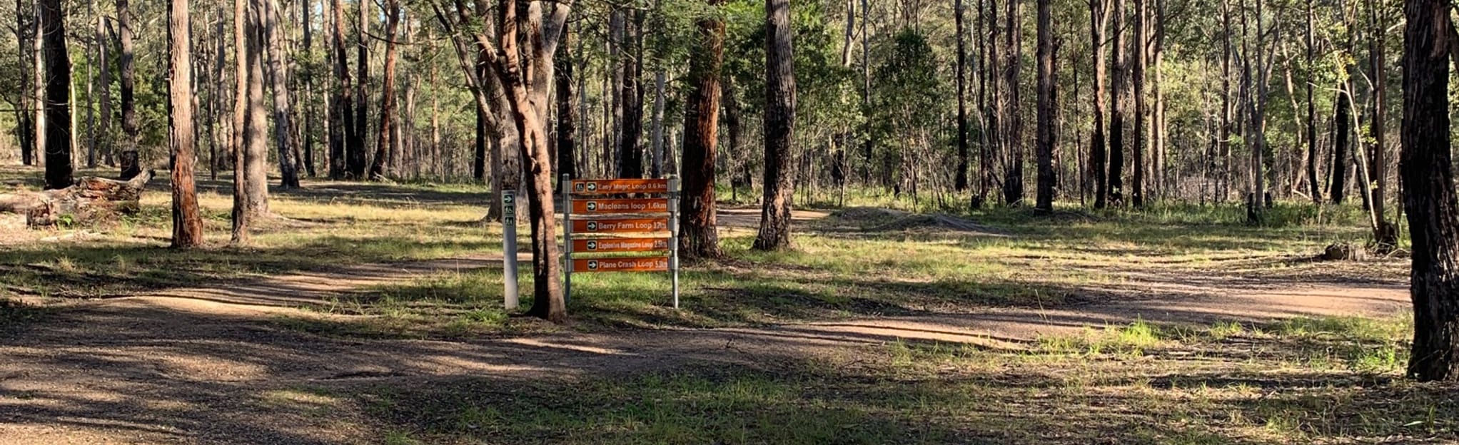 Bruthen Berry Farm Loop, Victoria, Australia - 9 Reviews, Map | AllTrails