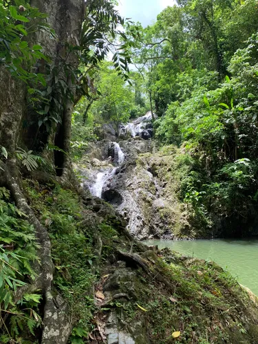 10 Best Trails and Hikes in Trinidad and Tobago | AllTrails