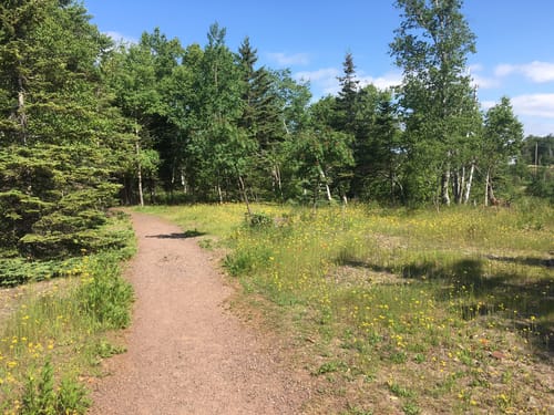 Best Hikes and Trails in Two Harbors | AllTrails
