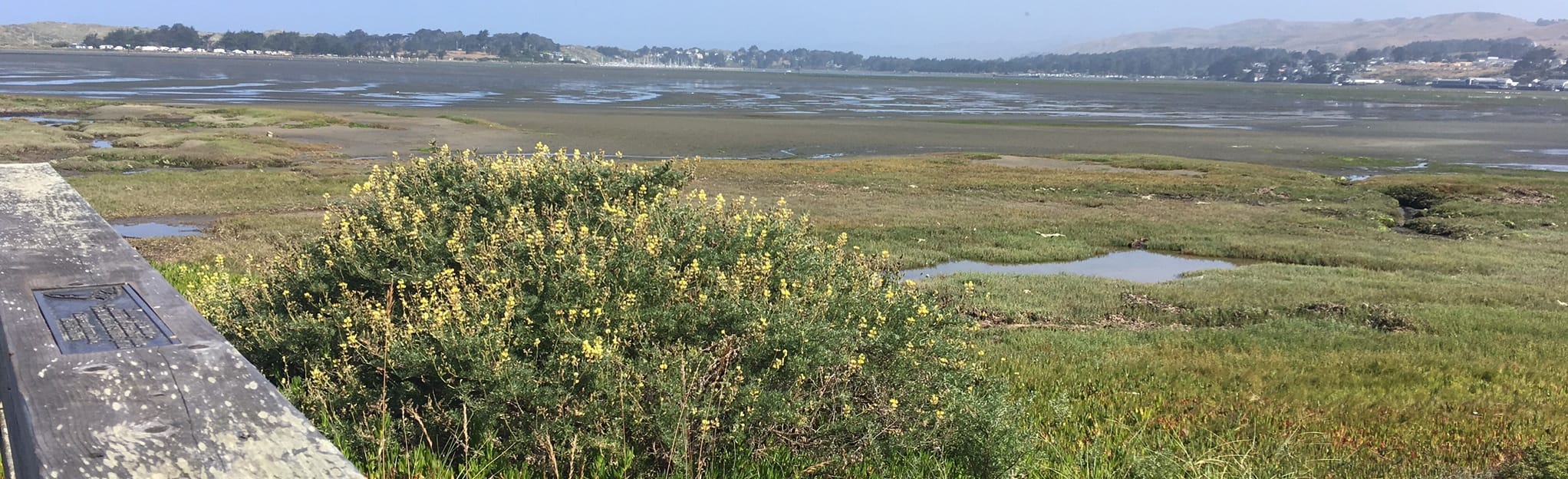 Doran Marsh Trail | Map, Guide - California | AllTrails