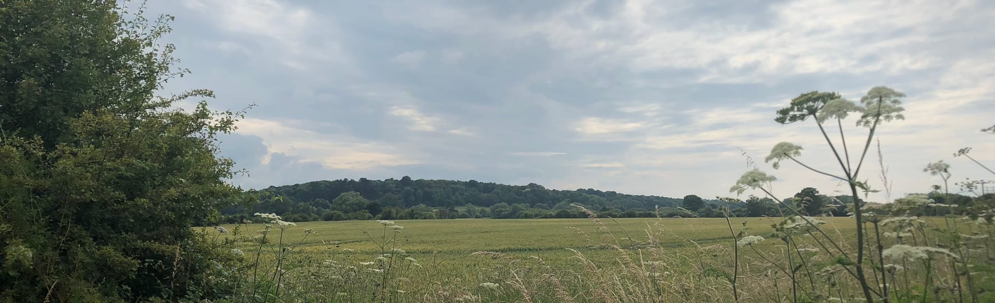 Upper Bucklebury and Greenham Circular, Berkshire, England - 3 Reviews ...