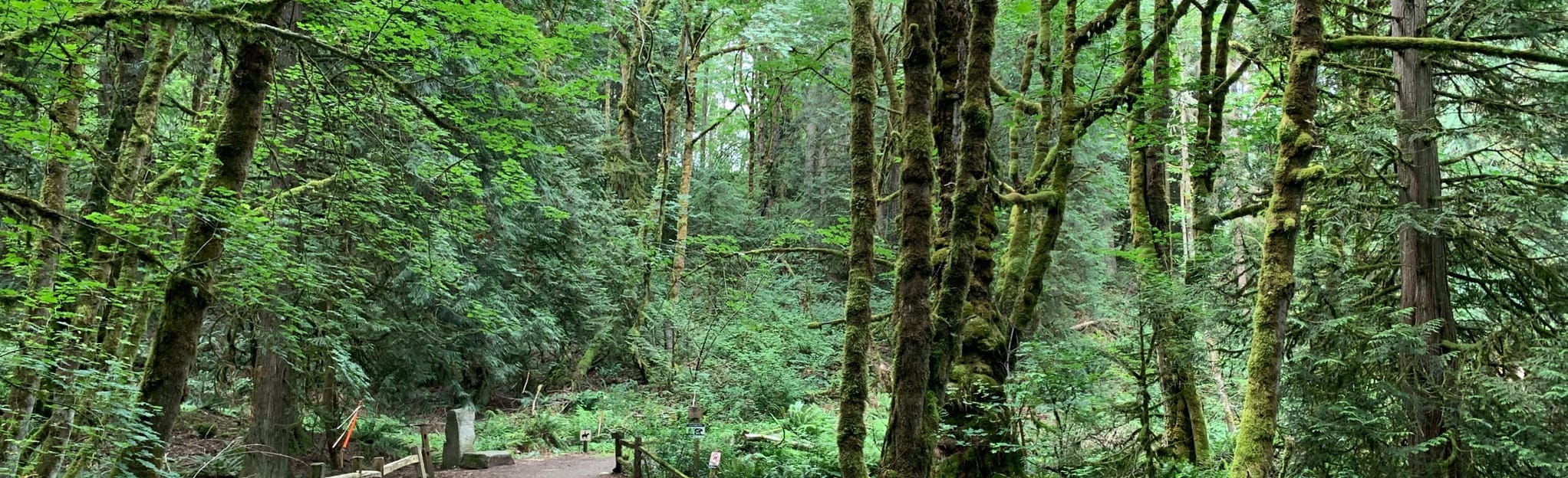 Red Town Trail, Washington - 270 Reviews, Map | AllTrails