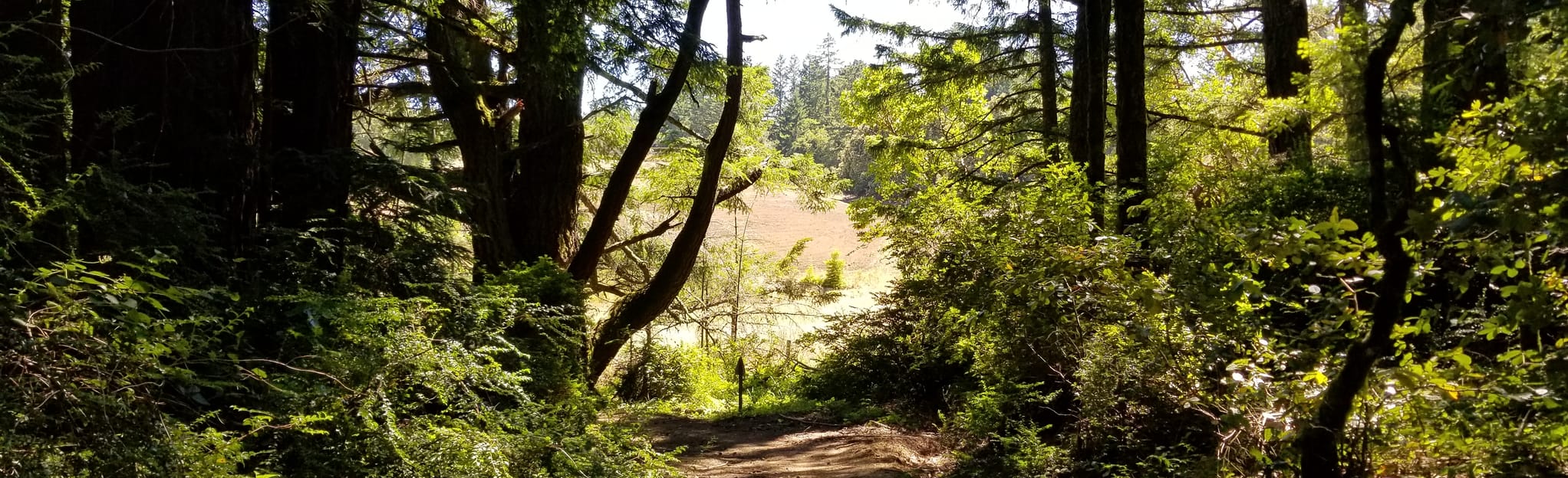 Archery Fire Road, Dean Trail, and Crystal Springs Trail Loop ...