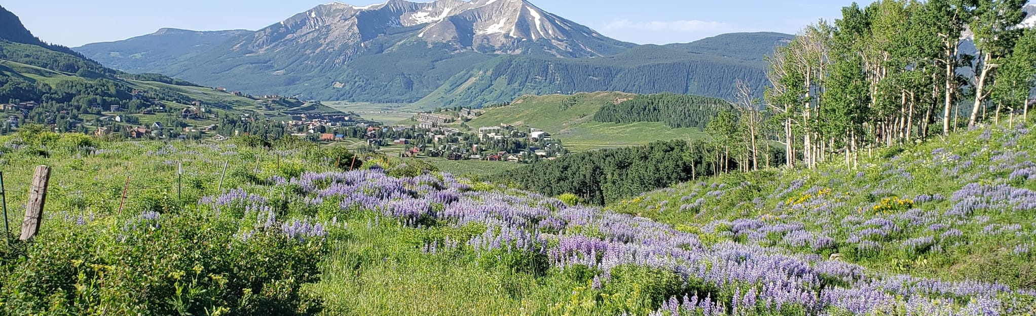 Mount Crested Butte North Loop, Colorado - 11 Reviews, Map | AllTrails