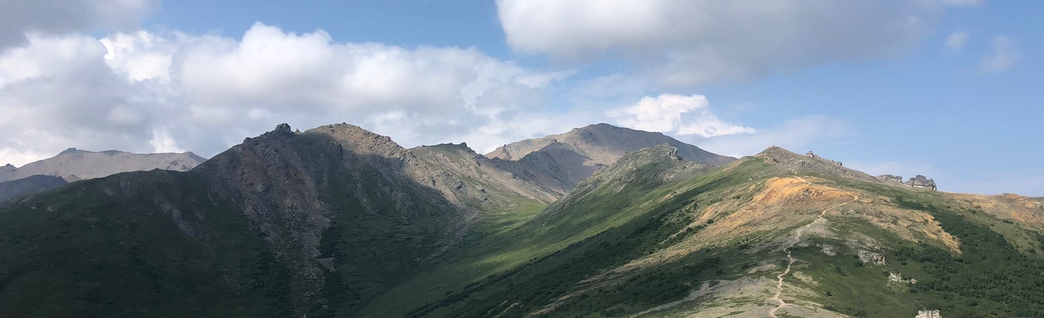 Mount Healy Overlook Trail: 1811 Reviews, Map - Alaska | AllTrails