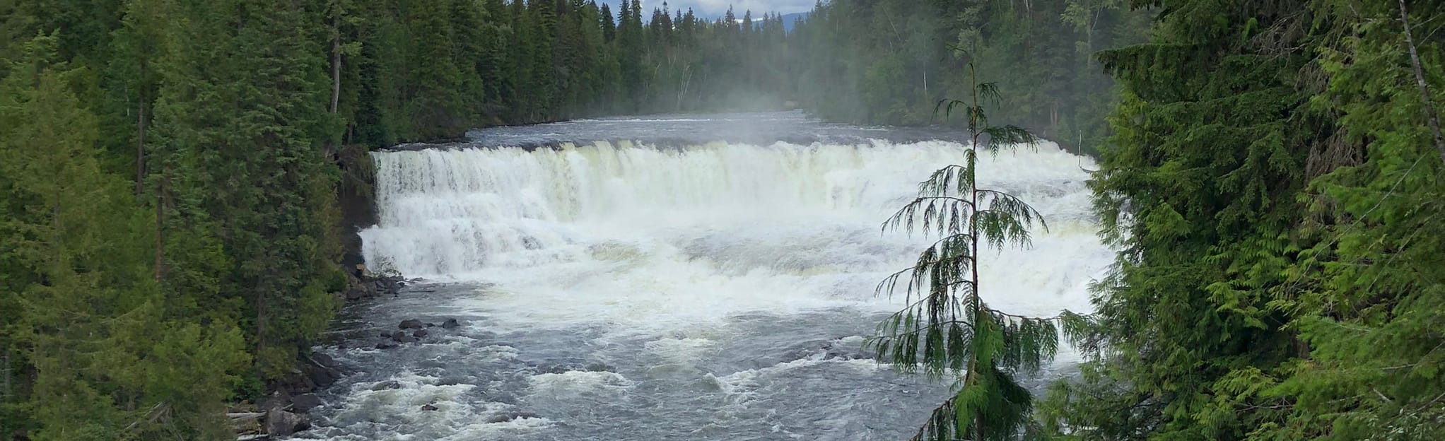 Dawson Falls South, British Columbia, Canada - 242 Reviews, Map | AllTrails