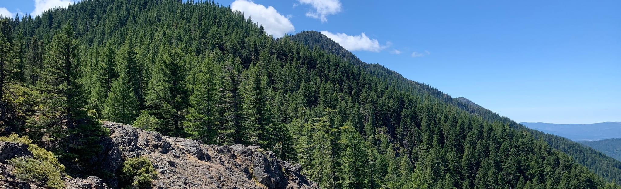 Kerby Peak Trail, Oregon - 147 Reviews, Map | AllTrails