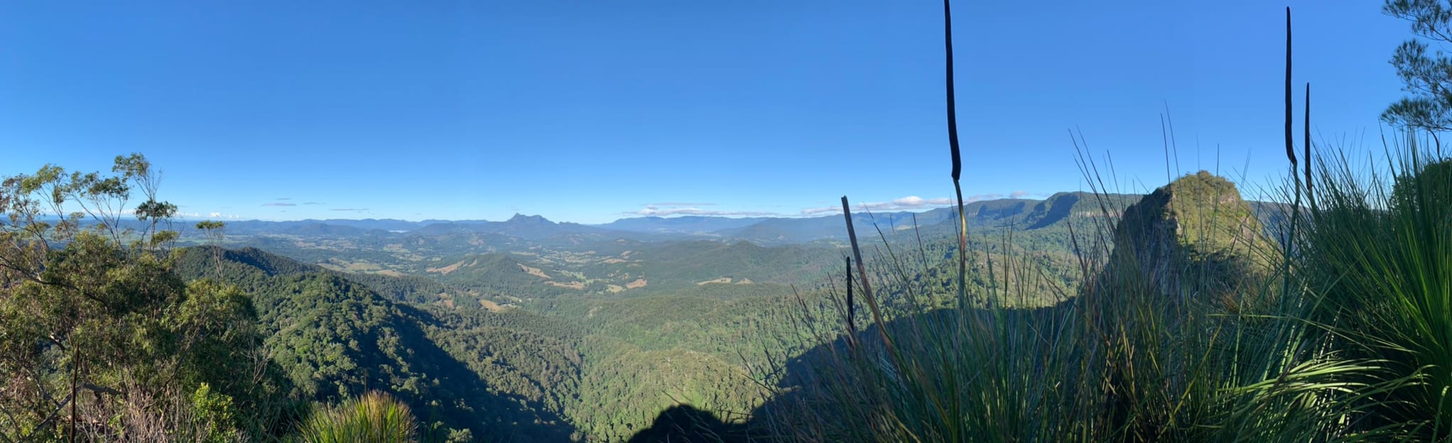 Mount Cougal via Boyd's Butte, Queensland, Australia - 130 Reviews, Map ...