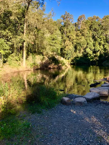 Best Hikes and Trails in Amamoor State Forest | AllTrails