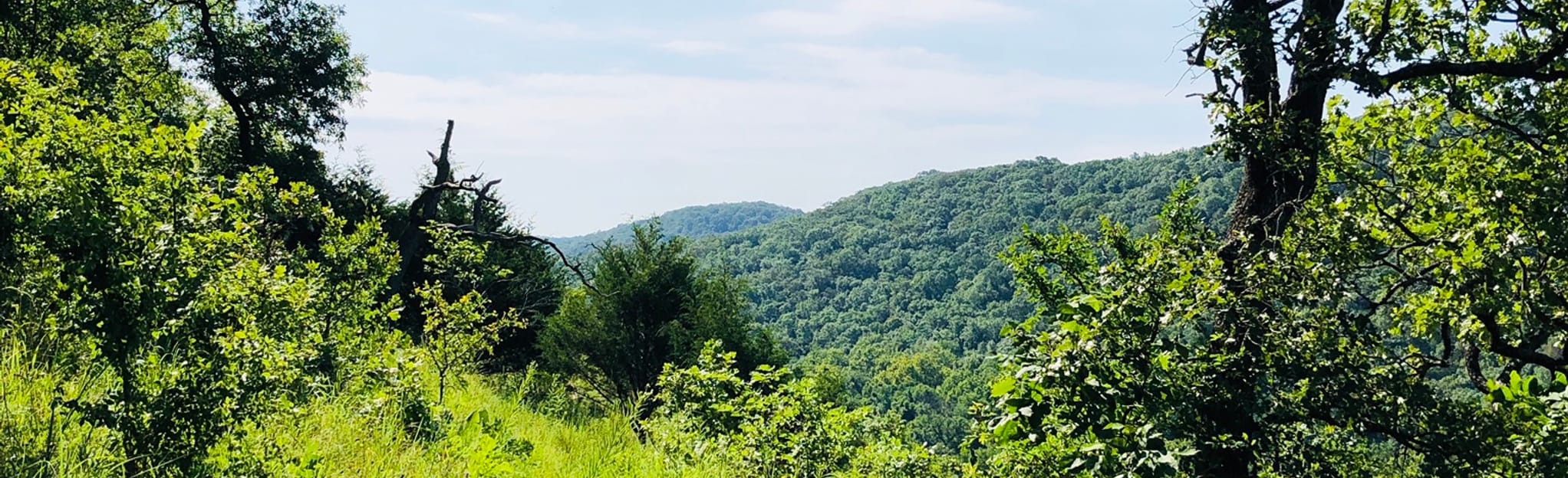 Busiek Purple, Orange, White Loop, Missouri - 289 Reviews, Map | AllTrails