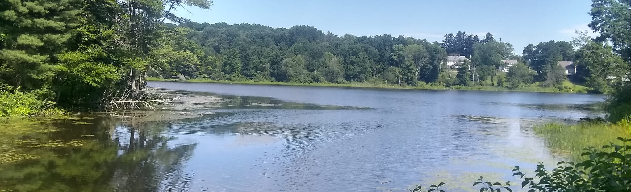 Blue Diamond Trail, Massachusetts - 47 Reviews, Map | AllTrails