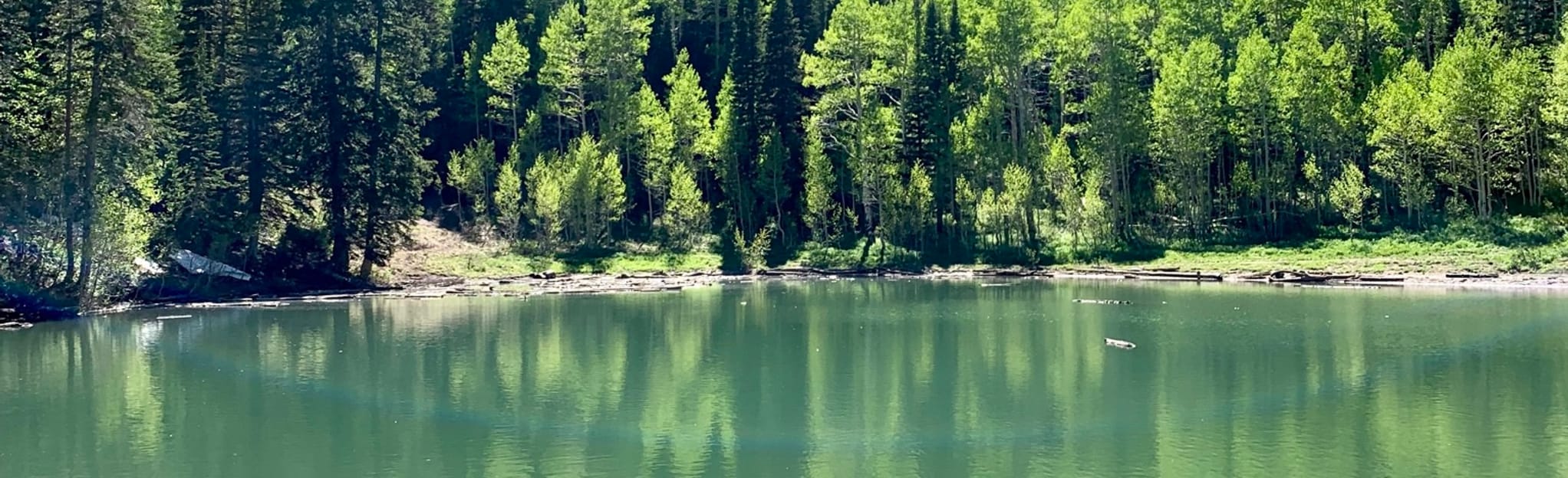 Dog Lake via Big Water Trail: 1290 Reviews, Map - Utah | AllTrails