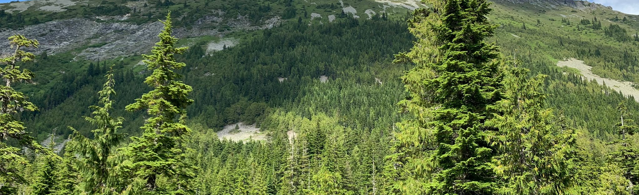 Eagle Lake, Washington - 44 Reviews, Map | AllTrails