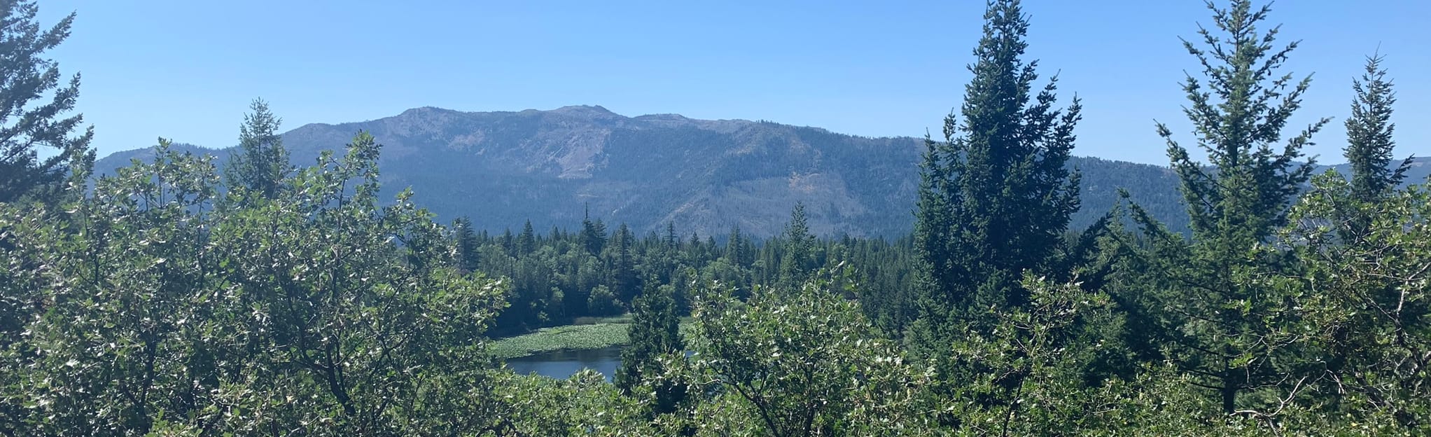 Howard Lake via Howard Corral Trail: 1 Reviews, Map - California ...