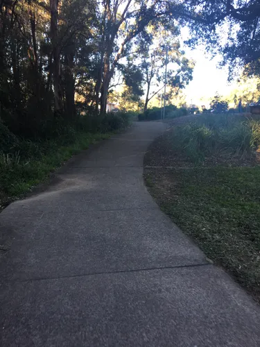 Best Hikes and Trails in Col Sutton Reserve | AllTrails