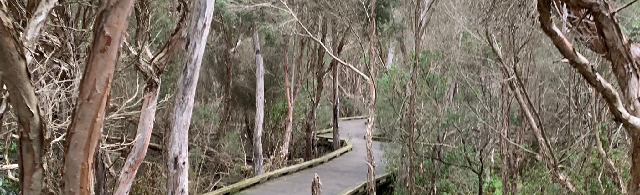 Balcombe Creek Estuary Boardwalk, Victoria, Australia - 134 Reviews ...