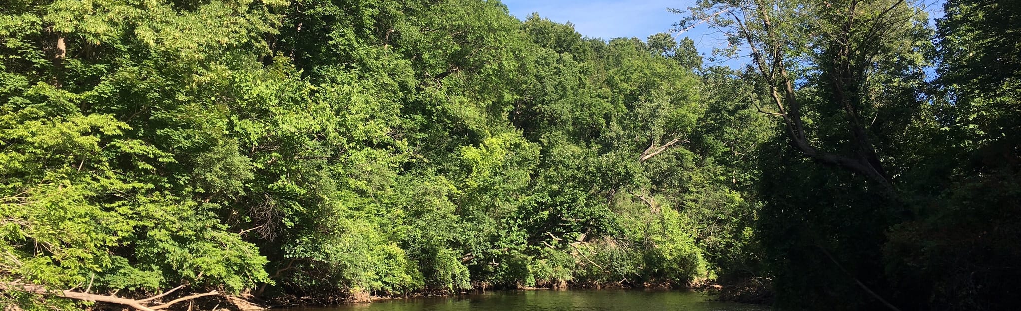 Cedar Bend Nature Area Loop, Michigan - 65 Reviews, Map | AllTrails