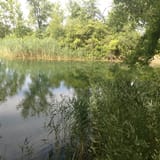 DeWitt Recreation Area Loop, New York - 128 Reviews, Map | AllTrails