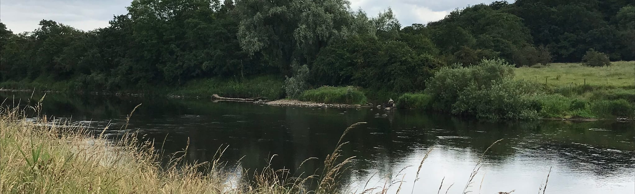 Hurst Green River Walk: 18 Reviews, Map - Lancashire, England | AllTrails